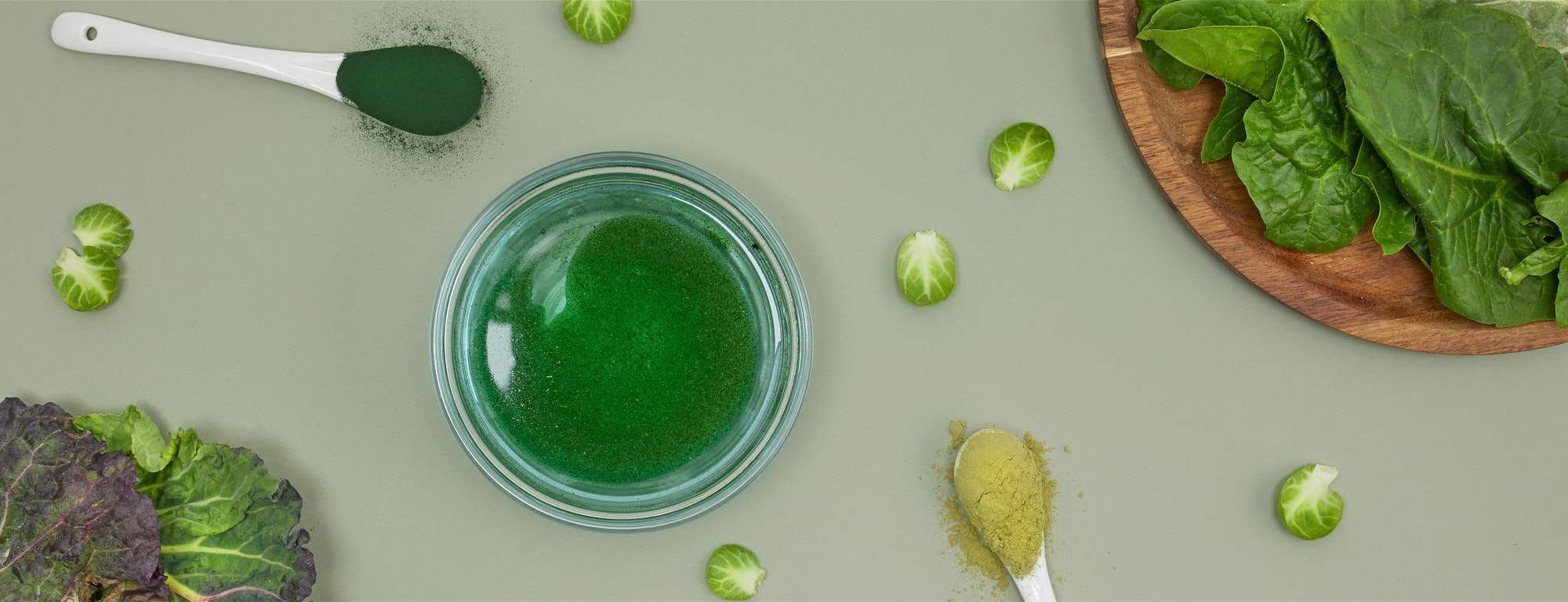Chlorofyl: wat is het en wat zijn de voordelen ervan?