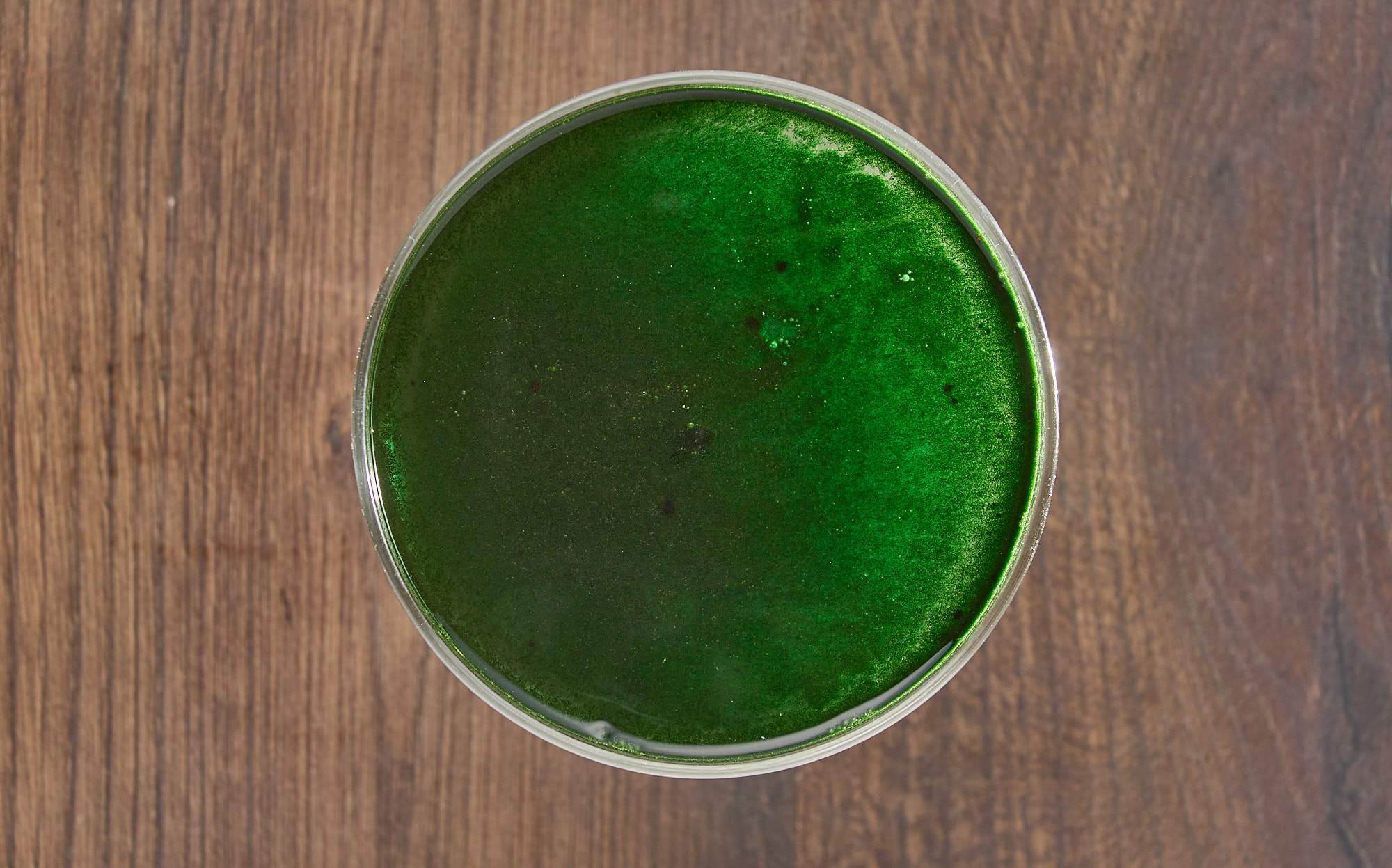 Chlorofyl: wat is het en wat zijn de voordelen ervan?