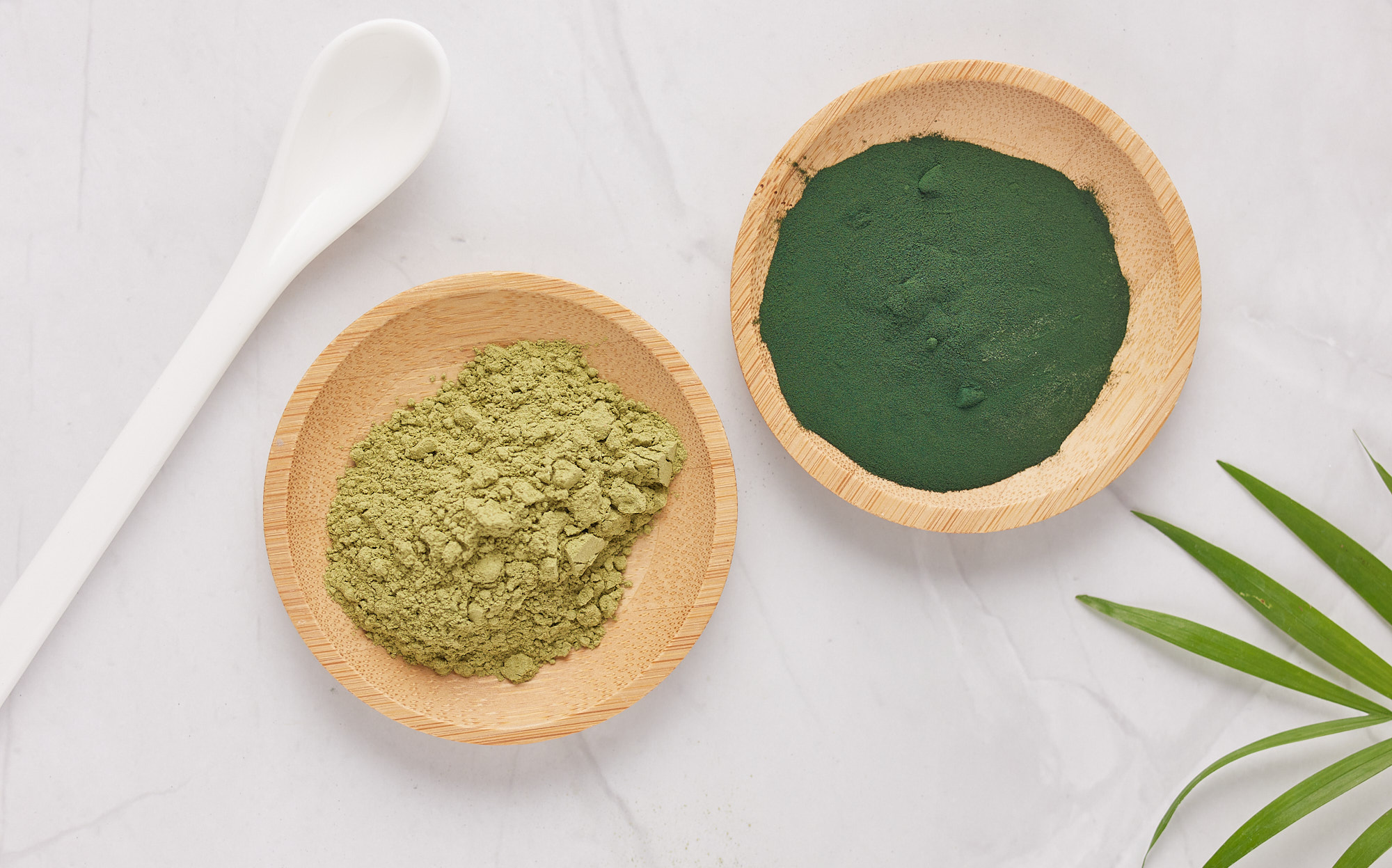 Chlorofyl: wat is het en wat zijn de voordelen ervan?