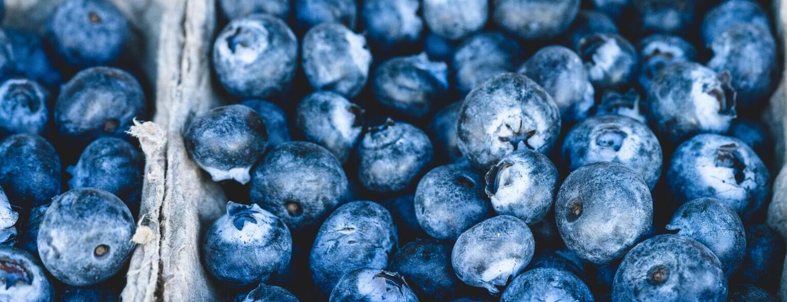 Vezelrijk eten: alles over vezels en vezelrijke voeding | Holland & Barrett