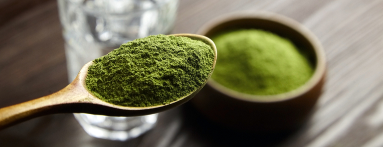 Your Guide To Chlorophyll | Benefits | Holland & Barrett