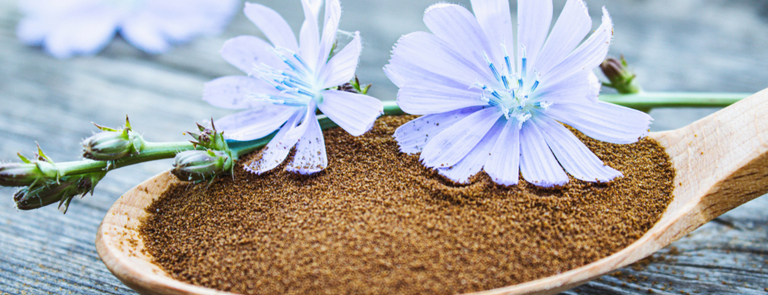 Inulin Powder | Everything You Need To Know | Holland & Barrett