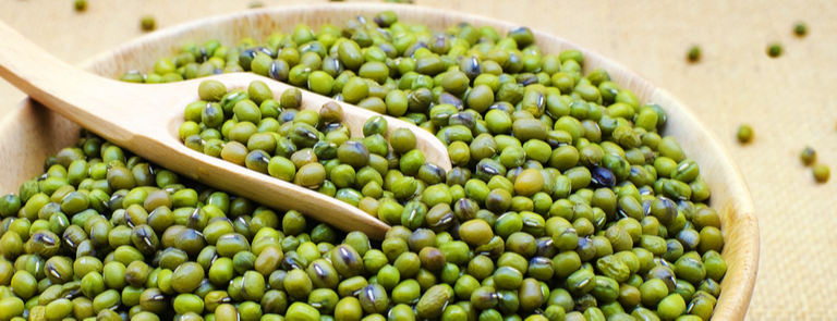 Mung Bean Guide | Benefits, Nutrition & More | Holland & Barrett