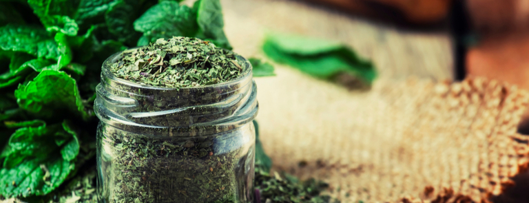 Peppermint Oil: Benefits, Side-Effects, Dosage & Uses | Holland & Barrett