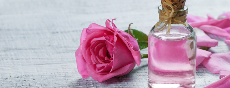 What Is Rosewater: Benefits & Uses | Holland & Barrett