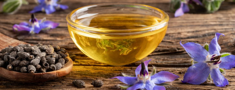 4 Ways To Use Starflower Oil | Starflower Benefits | H&B
