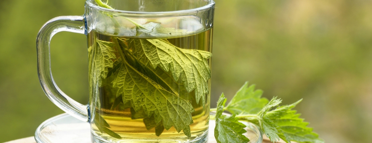 9 Of The Best Nettle Teas | Holland & Barrett
