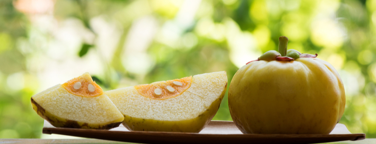 Garcinia Cambogia: Benefits, Uses & Side Effects | Holland & Barrett