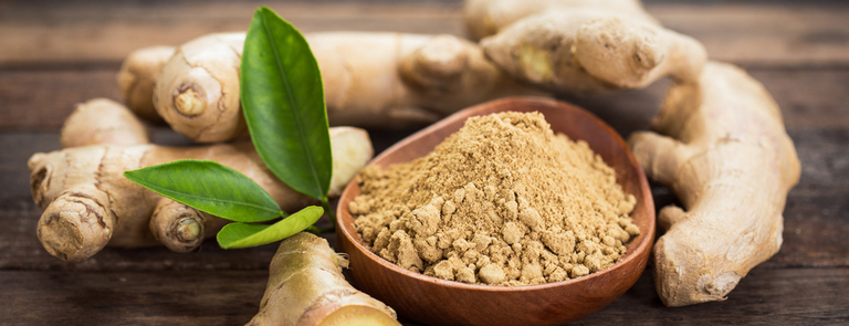 Your Ultimate Guide To The Top 25 Herbal Medicines | Holland & Barrett