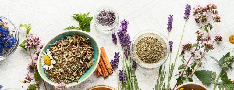 Your Ultimate Guide To The Top 25 Herbal Medicines | Holland & Barrett