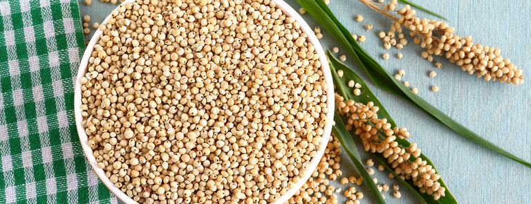 Types Of Grains: A-Z List & Benefits | Holland & Barrett