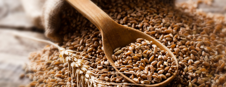 Types Of Grains: A-Z List & Benefits | Holland & Barrett