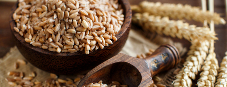 Types Of Grains: A-Z List & Benefits | Holland & Barrett
