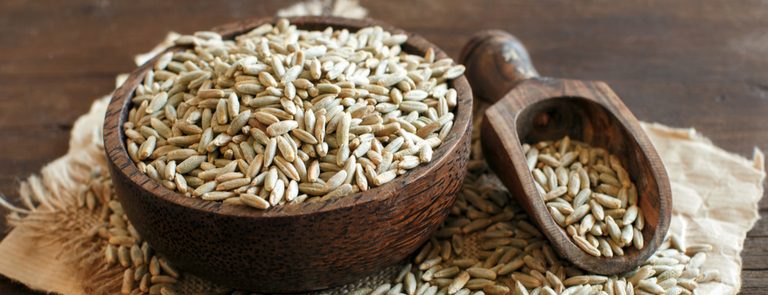 Types Of Grains: A-Z List & Benefits | Holland & Barrett