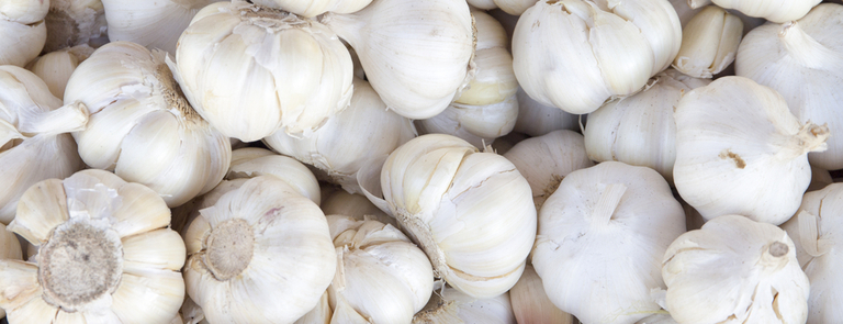 Garlic Guide: Types & Benefits | Holland & Barrett