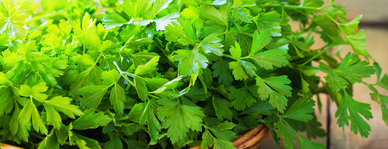 10 Lutein Benefits & Food Sources | Holland & Barrett