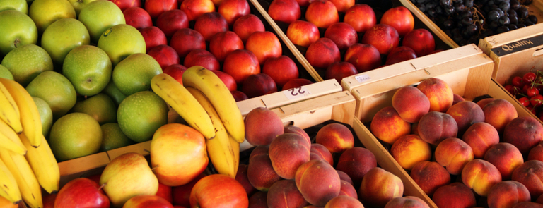 Eating Seasonal Foods - Seasonal Fruits & Vegetables Benefits | Holland ...