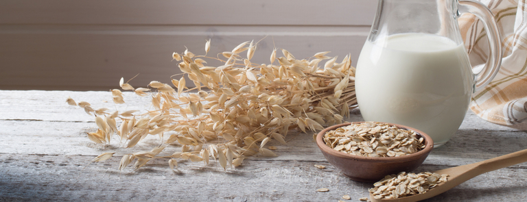 12 Benefits Of Oat Milk | Holland & Barrett