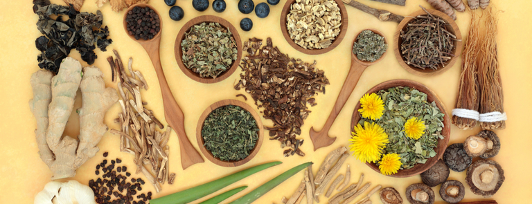 Everything You Need To Know About Adaptogens | Holland & Barrett