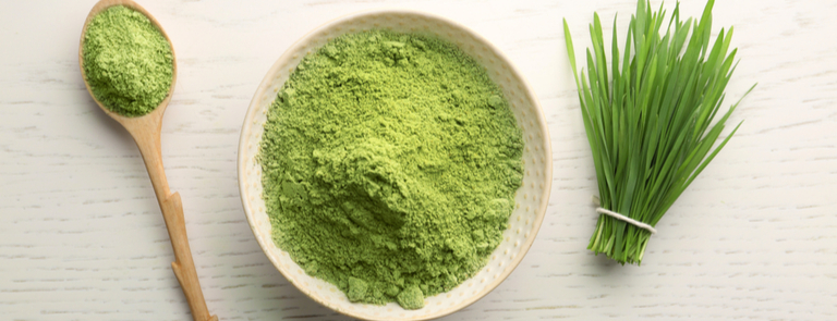 7 Wheatgrass Benefits & How To Use It | Holland & Barrett