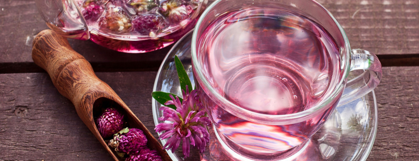 Red Clover: Uses, Benefits, Side effects & More | Holland & Barrett