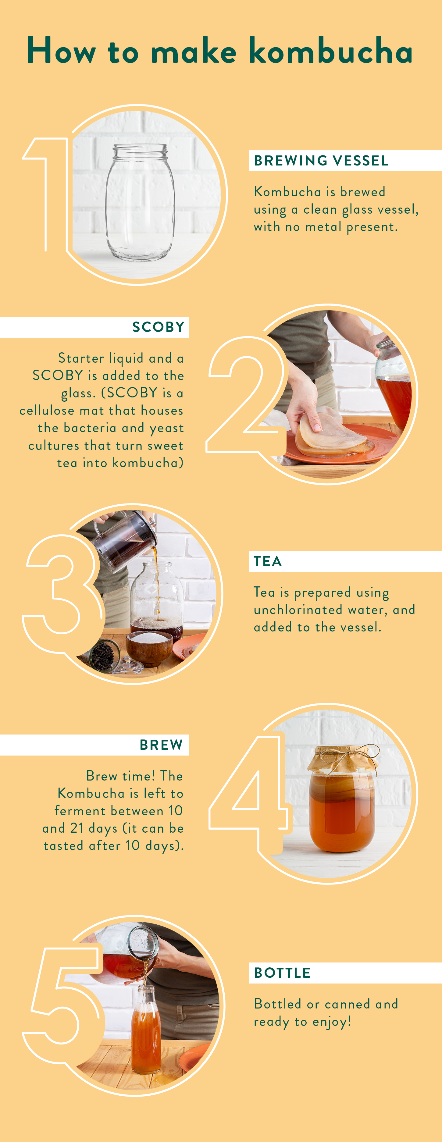 What is Kombucha? | Kombucha Benefits & Side Effects | H&B