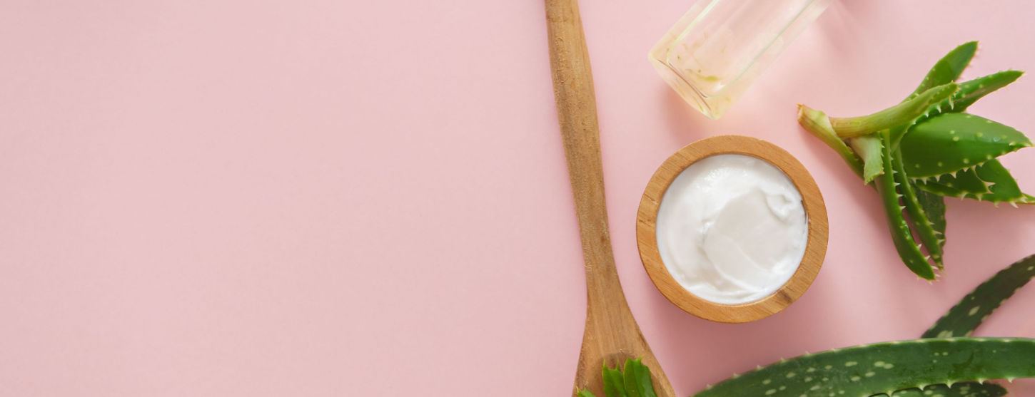 Cactus Skin Care: What Are The Benefits? | Holland & Barrett