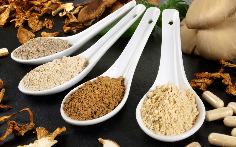 Mushroom Protein Powder | Vegan & Vegetarian - H&B