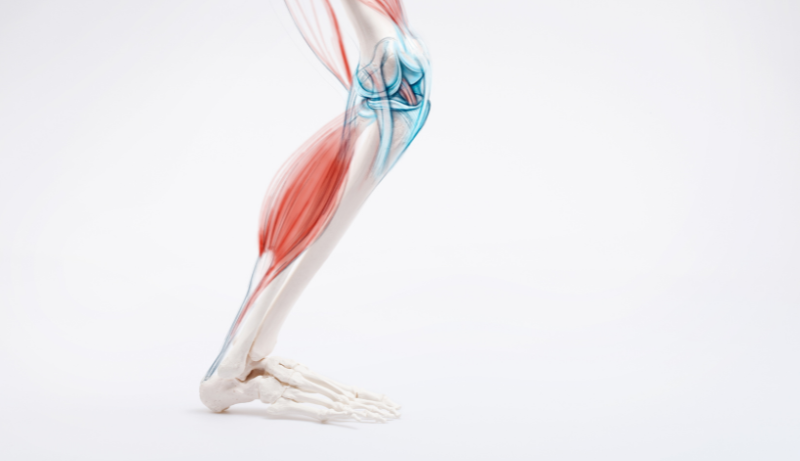 11 Of The Best Leg Exercises | Strengthen & Tone | H&B