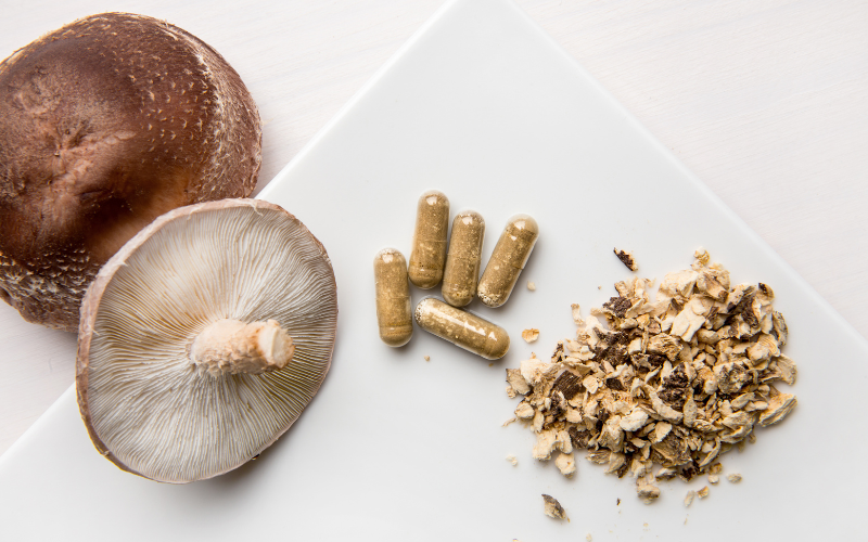 Mushroom Protein Powder | Vegan & Vegetarian - H&B