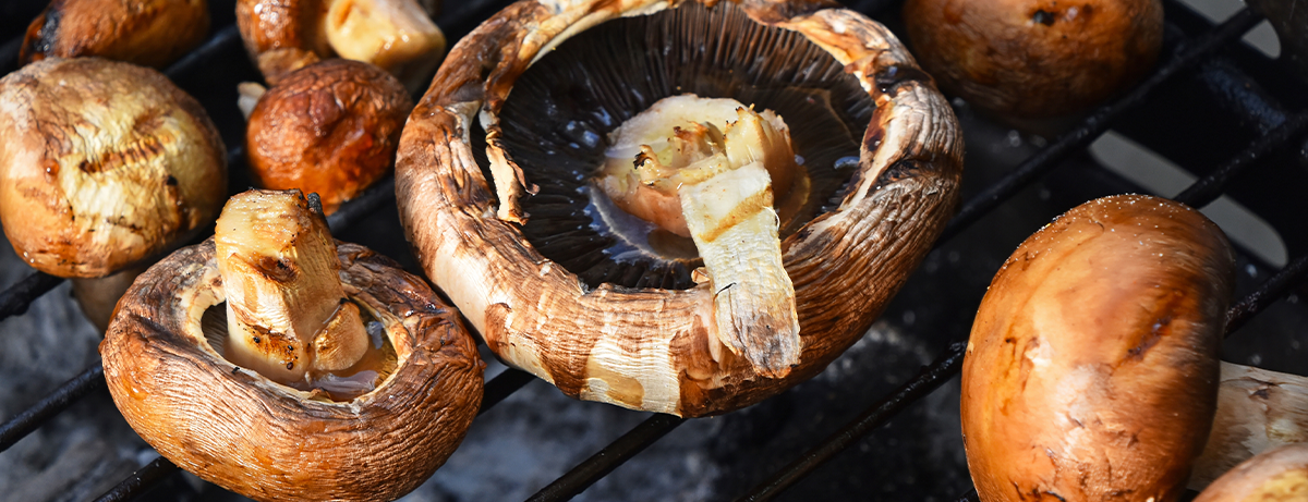 Guide to Portobello Mushrooms | Benefits & Side Effects | H&B