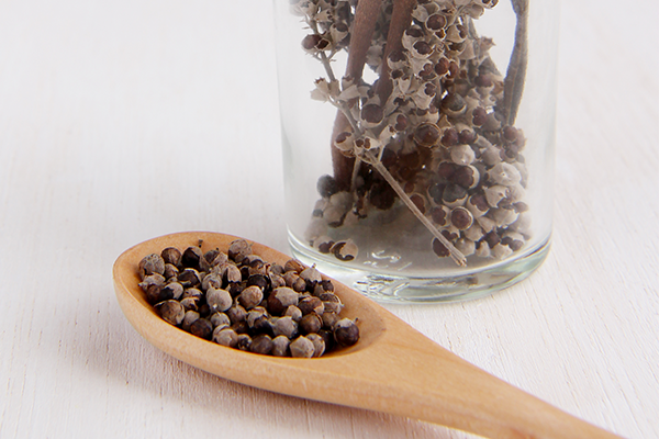 Vitex Agnus Castus (Chasteberry): Benefits, Dosage, Side-Effects ...