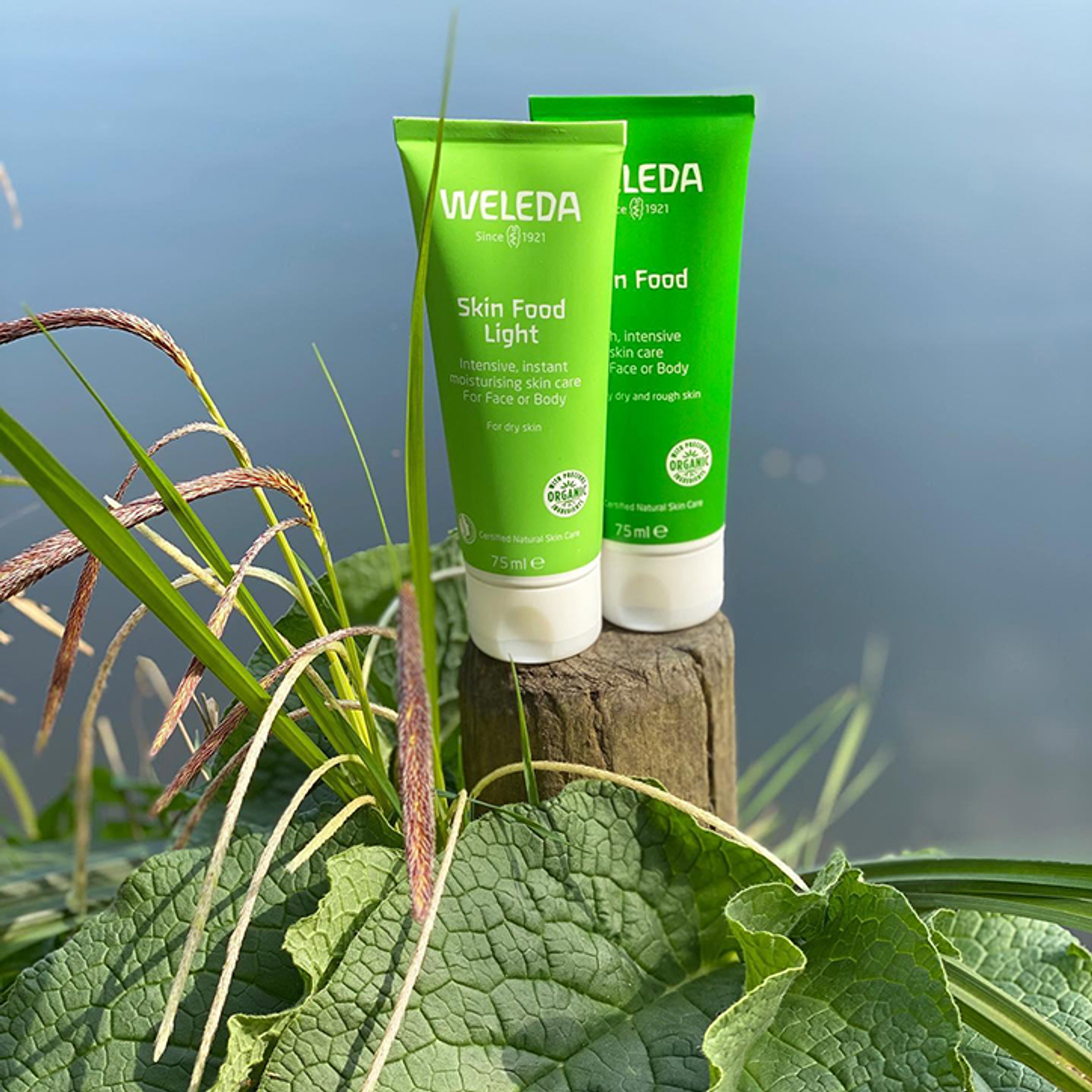 Weleda Skin Food Light 75ml | Holland & Barrett