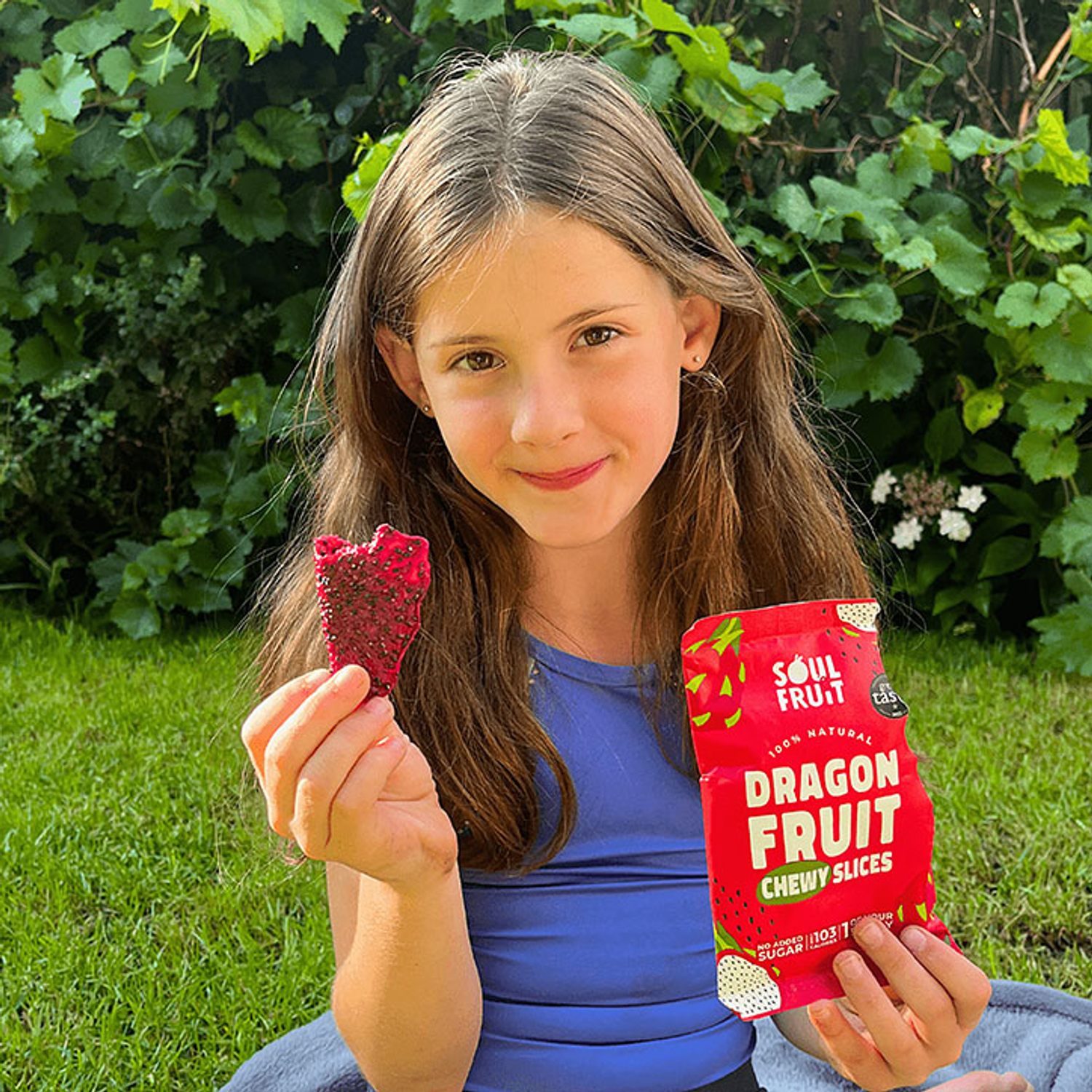 Soul Fruit Soft Dried Dragon Fruit Slices 30g | Holland & Barrett