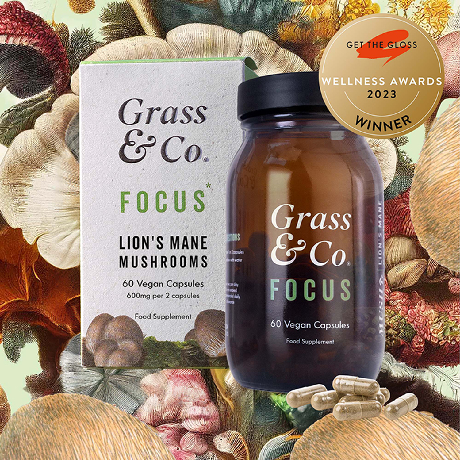 Grass & Co. FOCUS Lion's Mane Mushrooms with Ginseng + Omega-3 Vegan ...