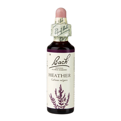 Bach Original Flower Remedies Beech 20ml