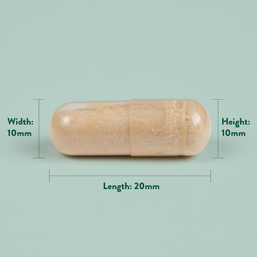 Slimming Tablets | Weight Loss Aid | Holland & Barrett