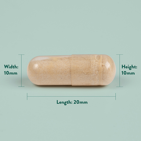 Slimming Tablets | Weight Loss Aid | Holland & Barrett