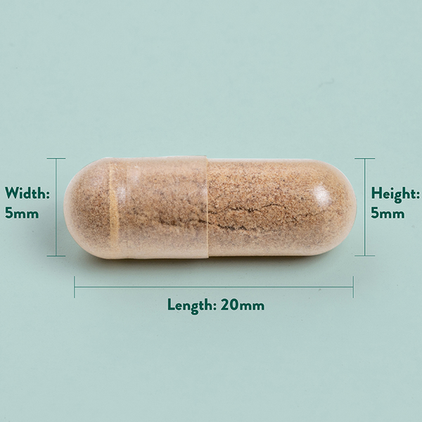 Ginkgo Biloba Tablets & Capsules | Supplements | H&B