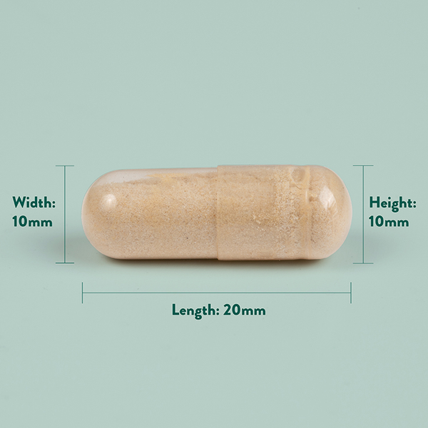 Slimming Tablets | Weight Loss Aid | Holland & Barrett