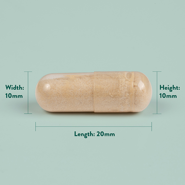 Slimming Tablets | Weight Loss Aid | Holland & Barrett