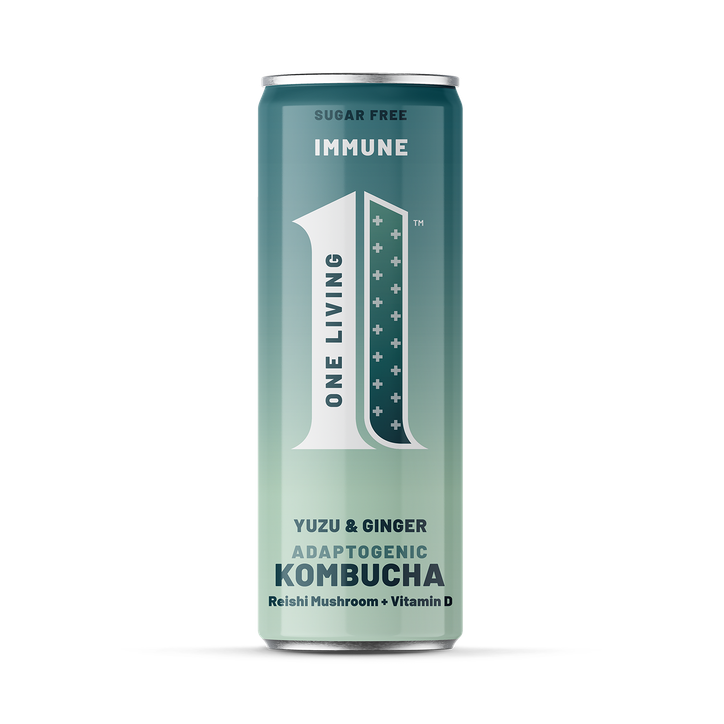 Immune Kombucha Drinks 12x | No.1 Living | H&B