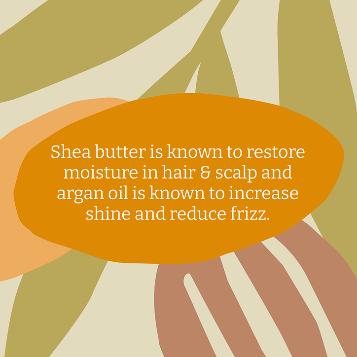 Shea & Argan Shampoo (500ml) | Faith in Nature | H&B