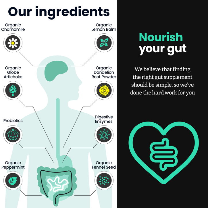Feel Complete 3 in 1 Gut Health - 12 Billion Probiotics, 5 Digestive ...