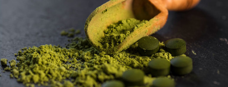 Chlorella | Chlorella Tablets | Holland & Barrett