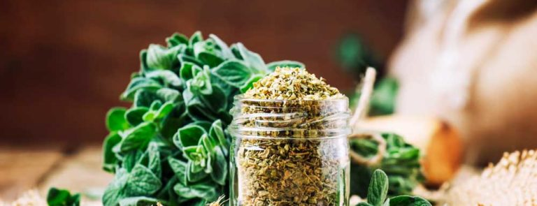 What is Oregano: Uses, Benefits, Side Effects | Holland & Barrett