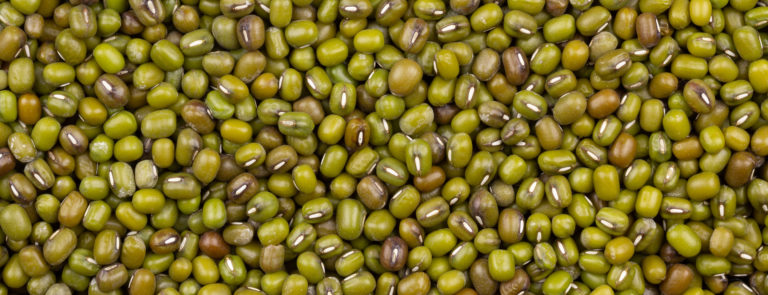 Mung Bean Guide | Benefits, Nutrition & More | Holland & Barrett